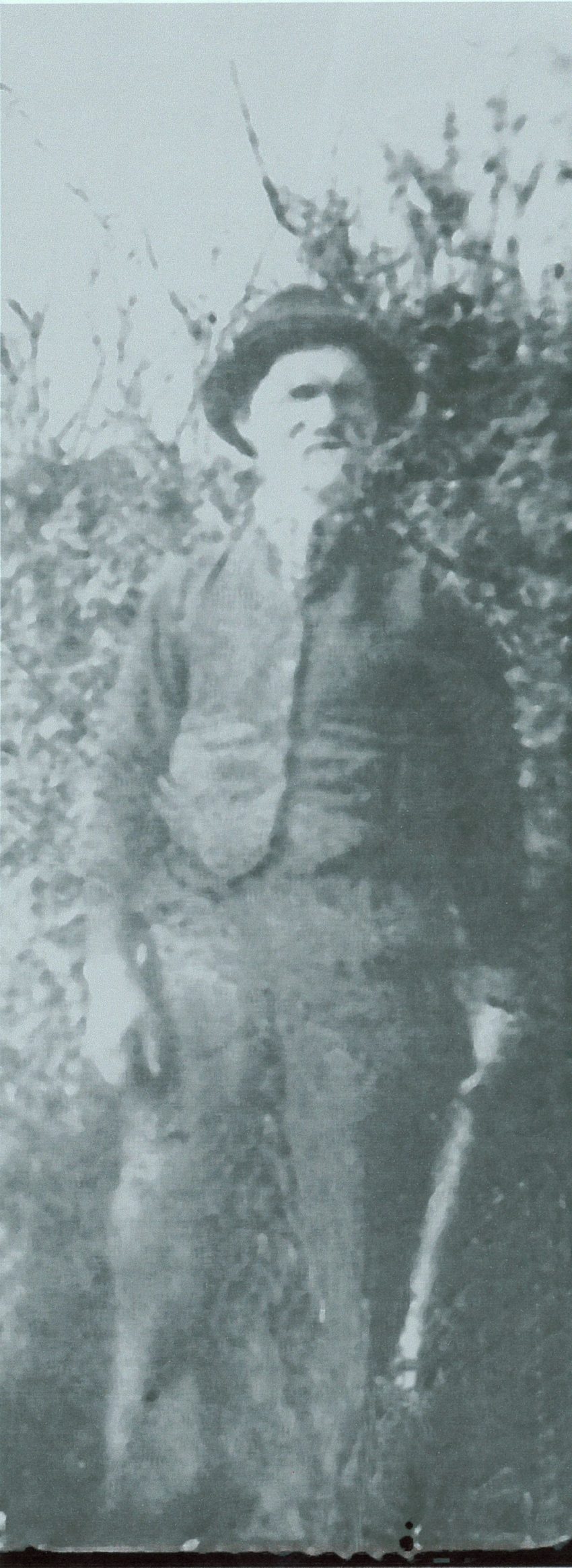 The Collier Family – A tale as old as time itself